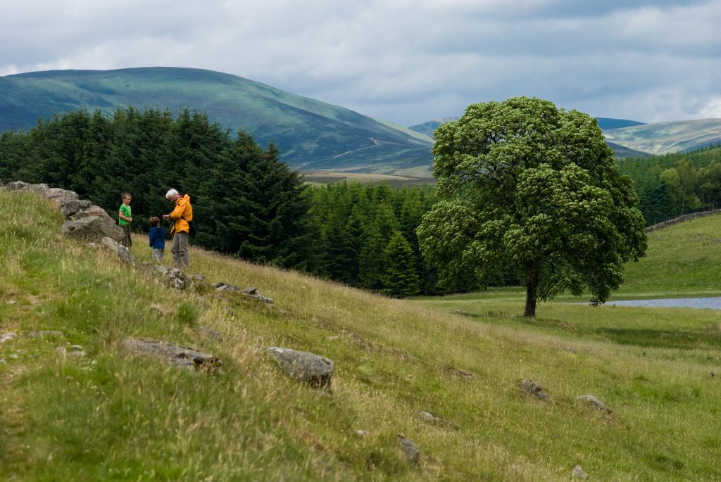 Supporting community projects throughout the Tactran region - Tactran Blog